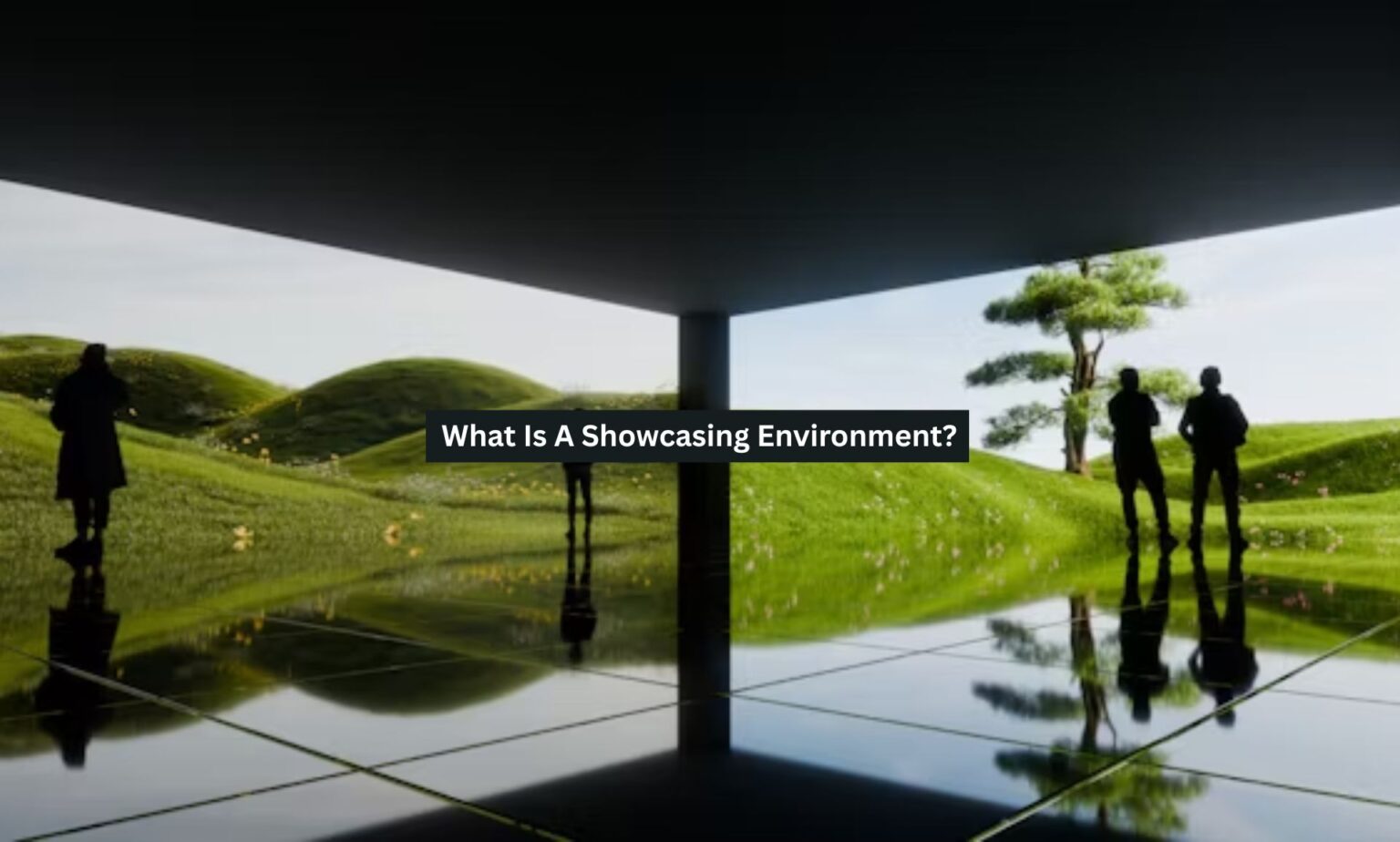 What Is A Showcasing Environment? - Businesses Gain